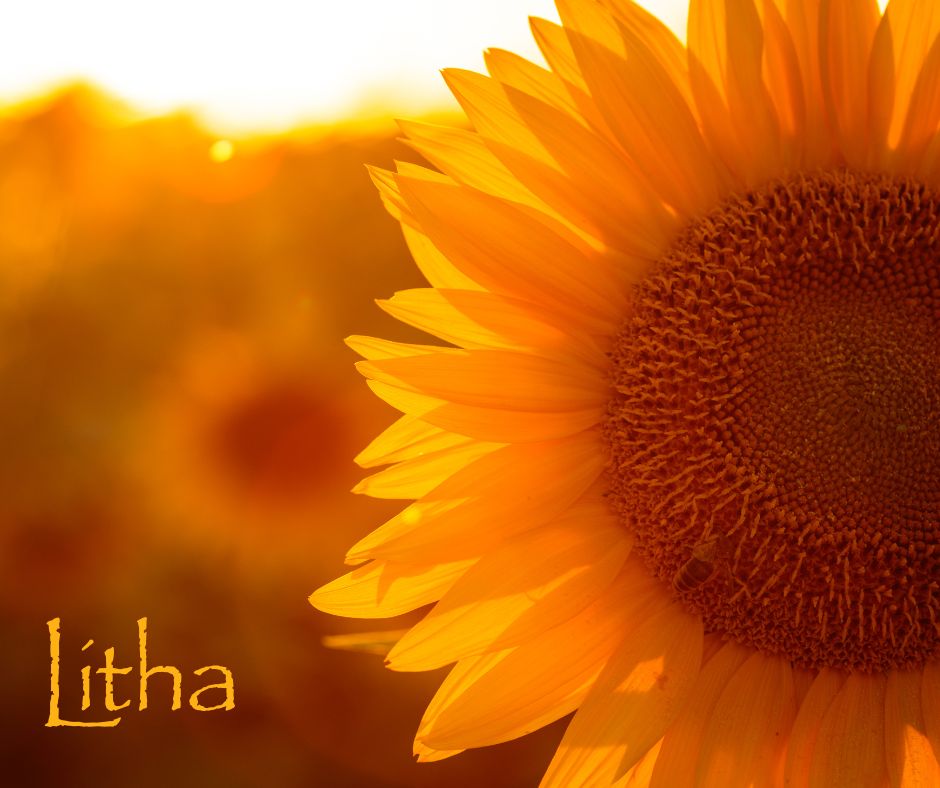 Litha Summer Solstice Meditation - Earthtones